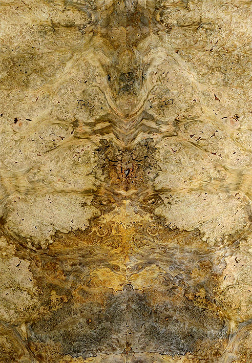 Status Graphite. The finest hand-made graphite basses and guitars. Made ...