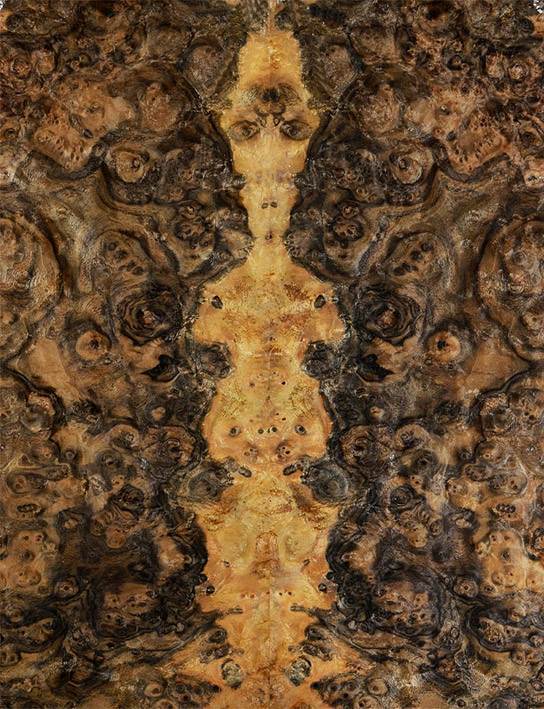 Status Graphite. The finest hand-made graphite basses and guitars. Made ...