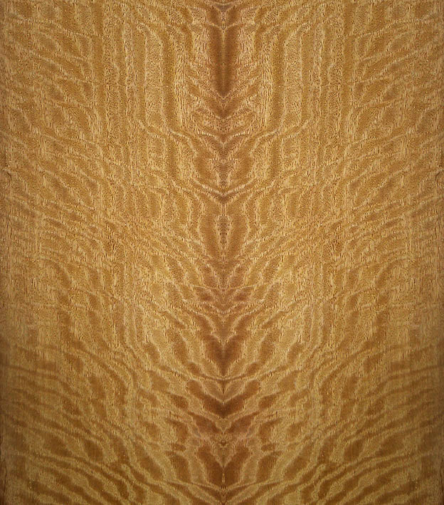 Status Graphite. The finest hand-made graphite basses and guitars. Made ...